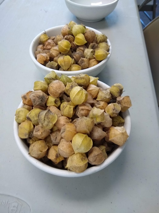 Ground Cherry Pie | sparecake